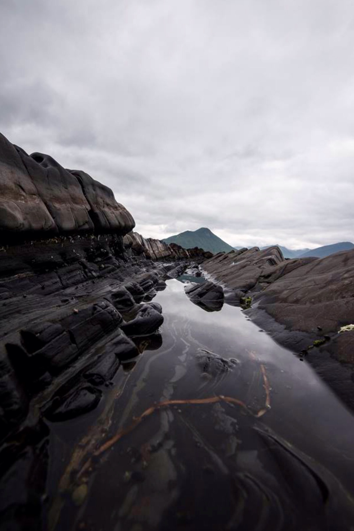 Perspective | Nature Photography by Martin Ryer