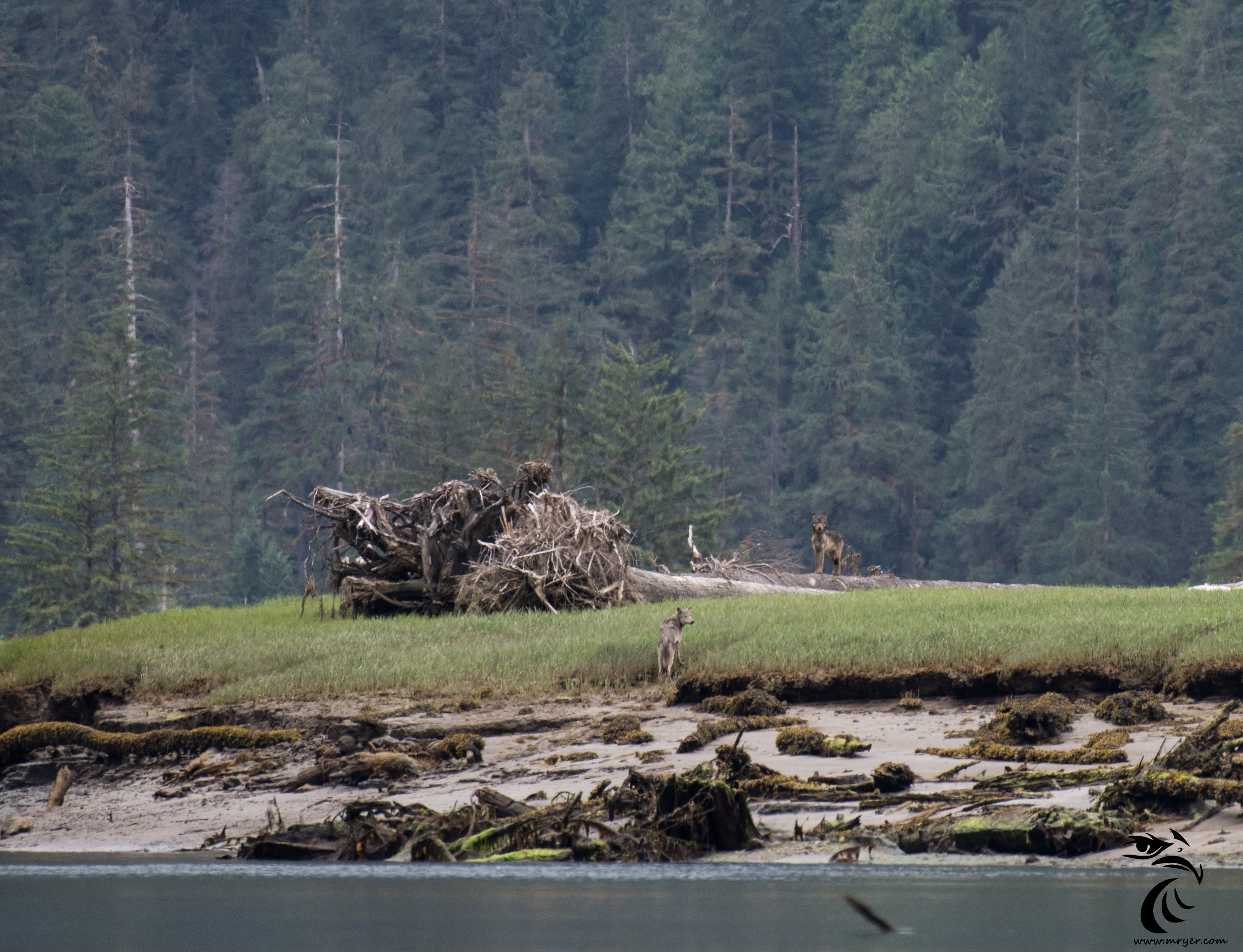 Two Months in a row | Nature Photography by Martin Ryer